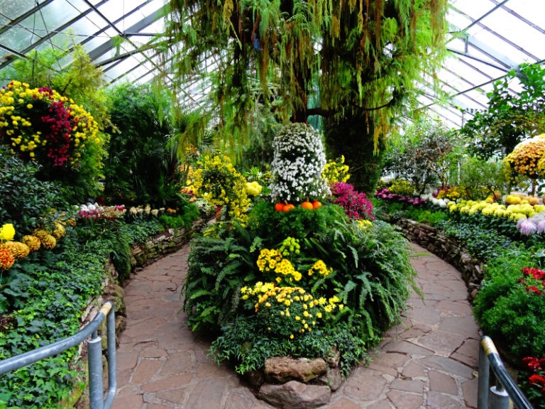 18 Awesome Things to do in Toronto in February 2026