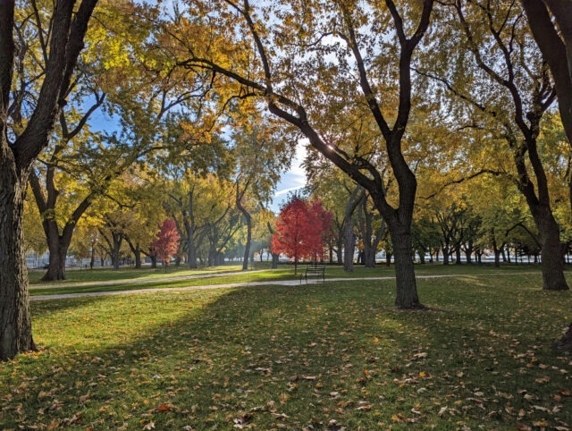+15 Incredible Places to See Fall Colours in Toronto