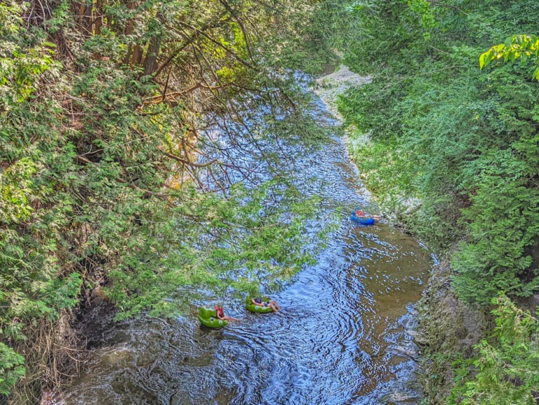 +15 Ultimate Things to do in Elora