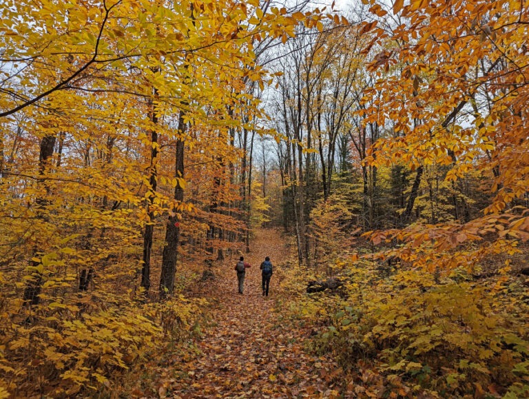 20 Amazing Things to do in Haliburton Ontario and the Highlands