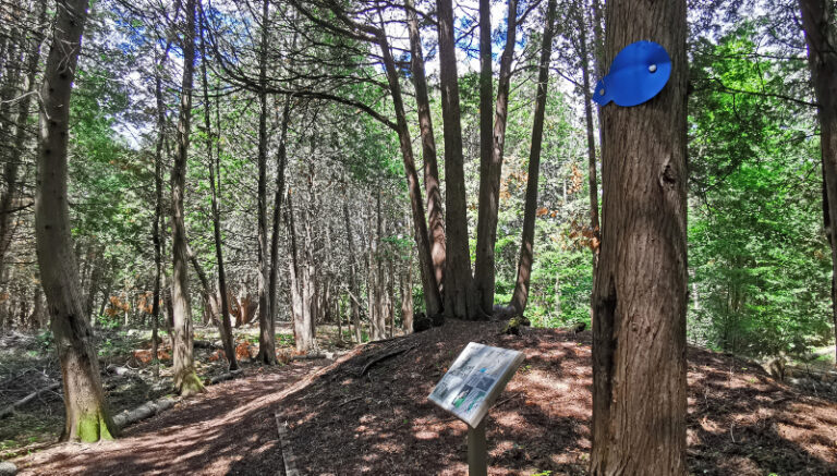 +15 Exciting Things to do in Erin Ontario