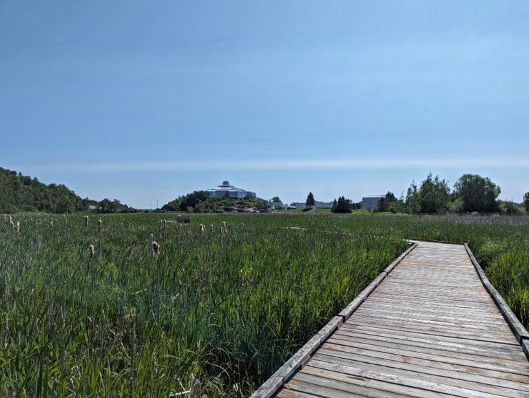 +35 Amazing Ontario Boardwalk Trails for Scenic Hikes in Ontario